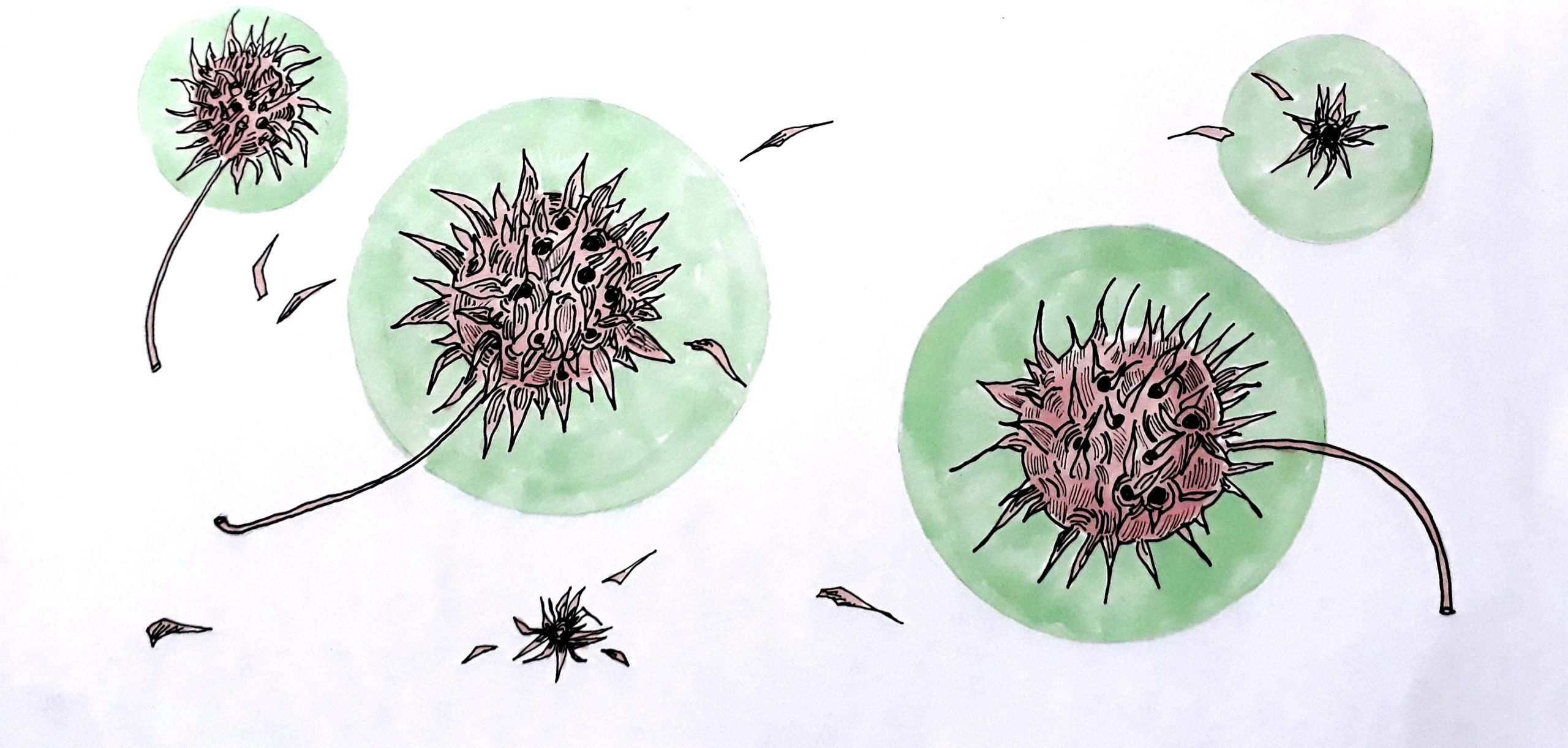 Transgresiones III – Revista Colofón